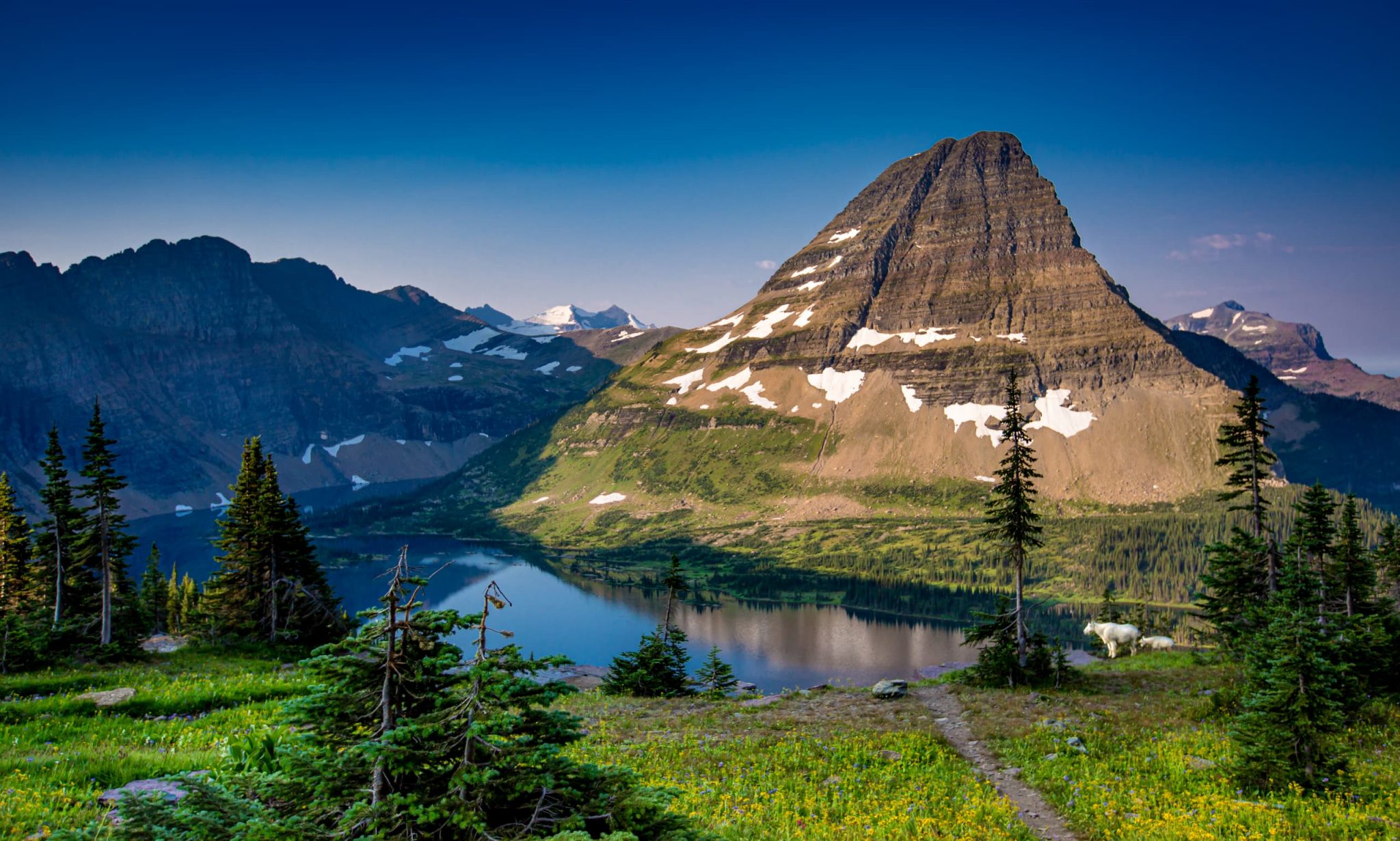 Who We Are - Glacier Hops Ranch